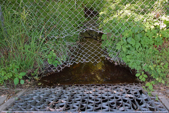 Exploring Toronto's Forgotten Watershed - INKspire