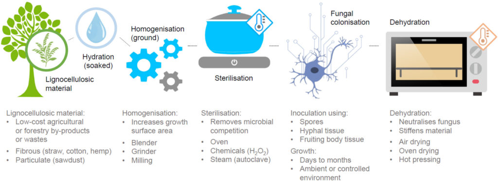 Mushroom Blocks: the Next Plastic? - INKspire
