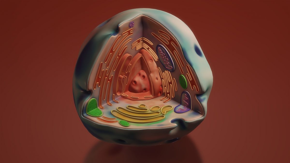 Invasion of the Face Mites - INKspire