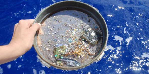 How to Distinguish between Reliable and Unreliable Sources Online ...